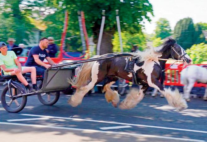 Travellers descend on Appleby with Europe`s biggest Gypsy fair started ...
