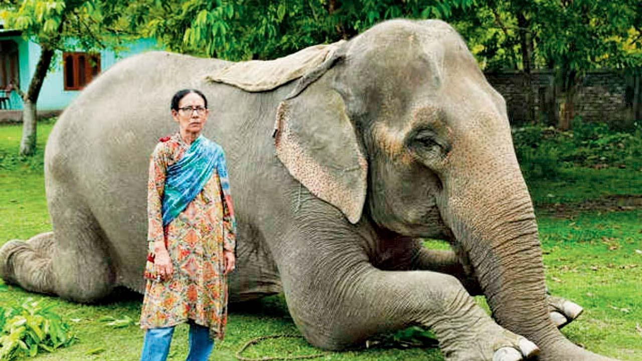 All details about India`s first female mahout known as `Hathi Ki Rani ...