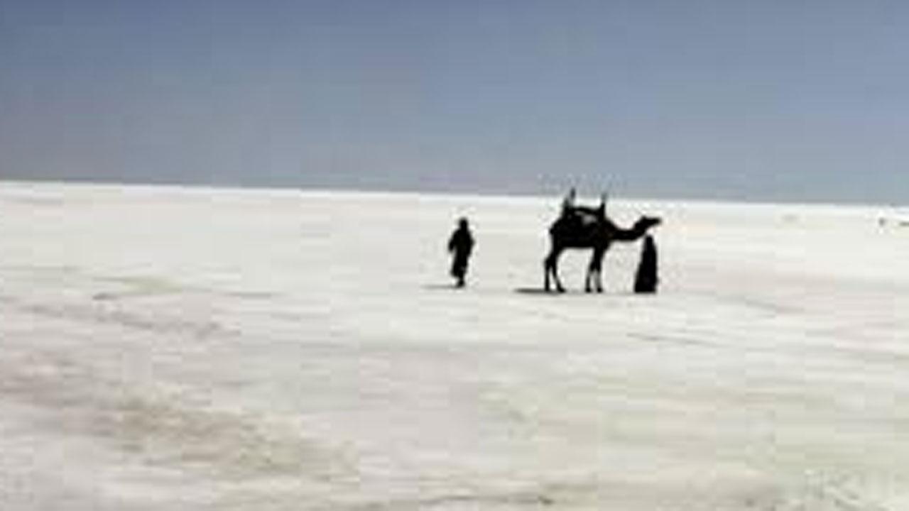 Kutch Sahitya Utsav 2024: Promoting Kutchi Language and Heritage ...