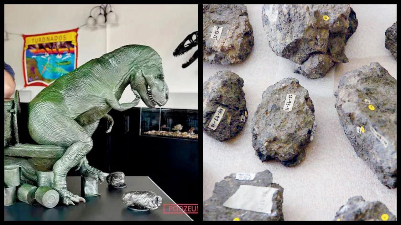 US man opens ‘Poosium’ to show his world’s biggest collection of ...