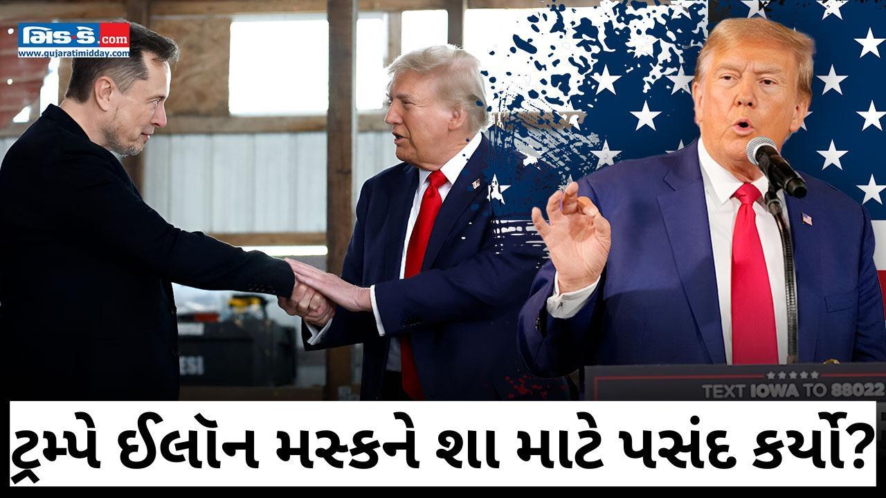 Donald Trump opens up on Elon Musk, Tulsi Gabbard and Vivek Ramaswamy’s ...