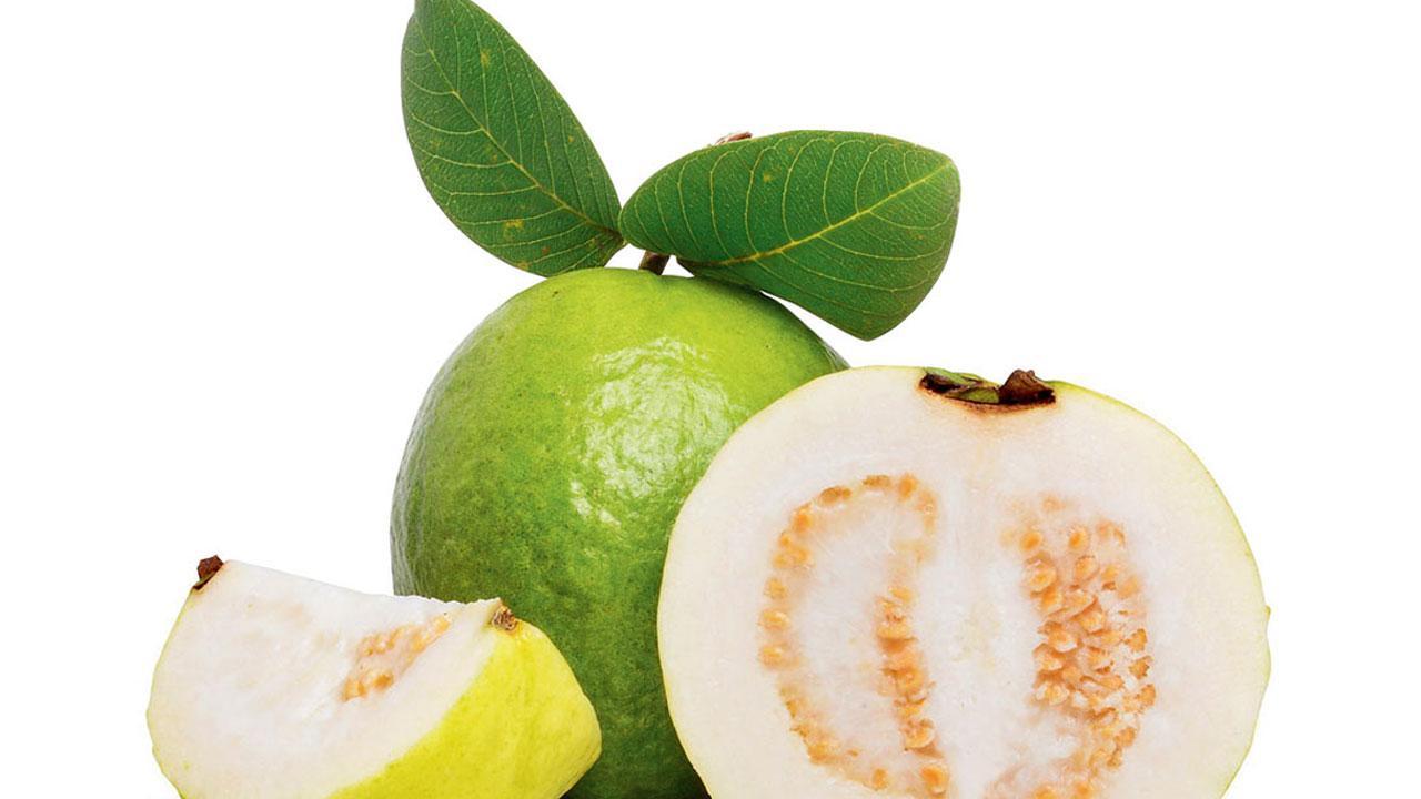 Eat guava with pleasure to boost immunity | રોગપ્રતિકારક શક્તિ વધારવા ...