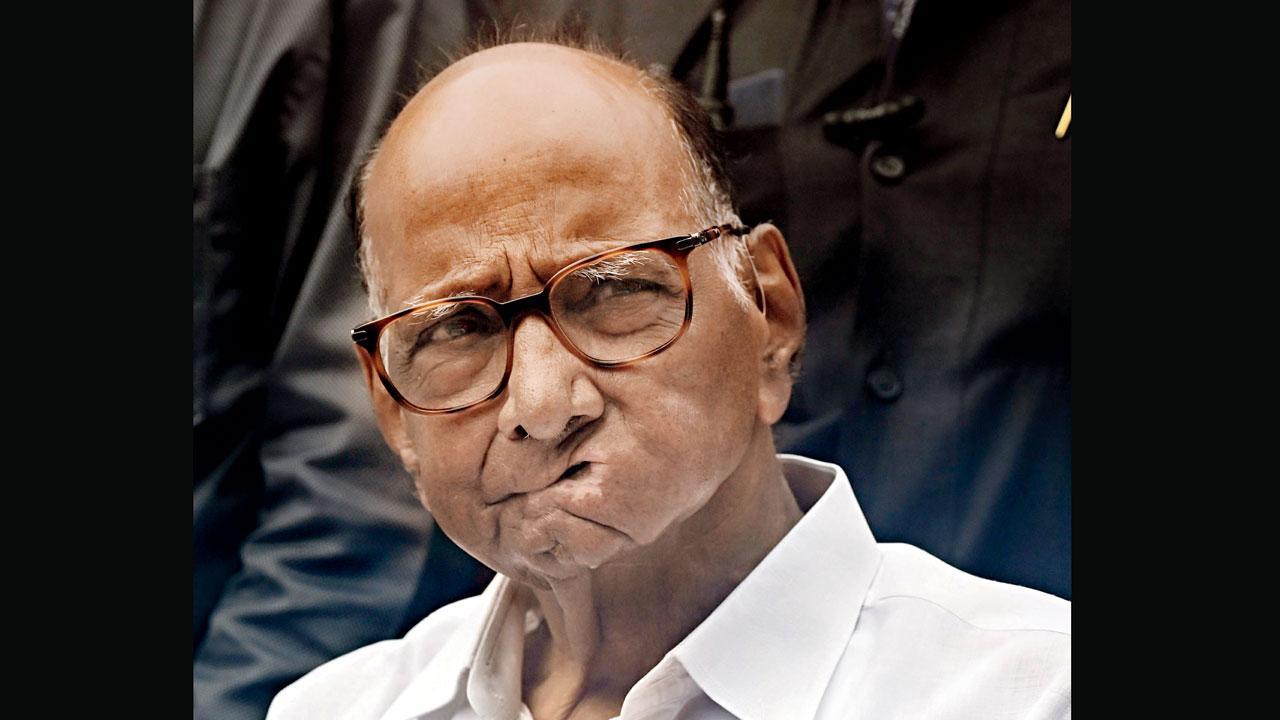 Ahead of Maharashtra assembly 2024 elections sc ruling allows ajit ...